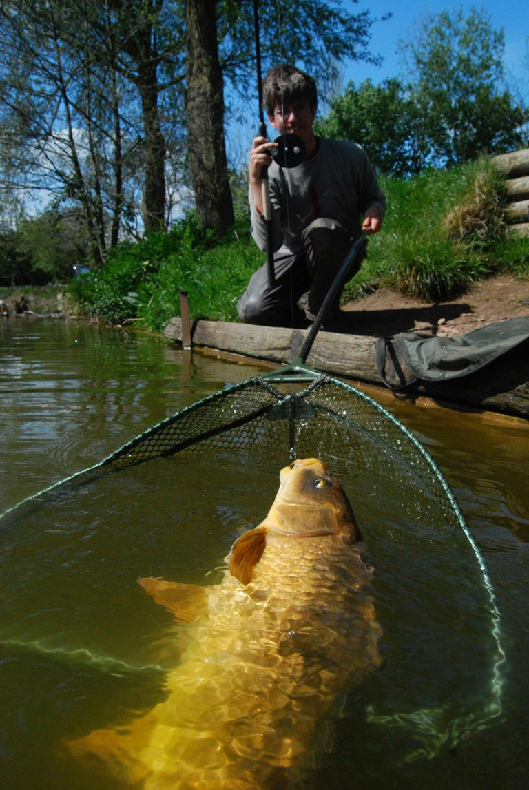 What makes angling so enjoyable? | Fishing’s perfect moments