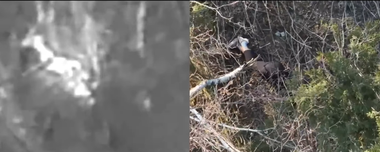 Michigan woman found by drone cameras after she was lost in woods for ...