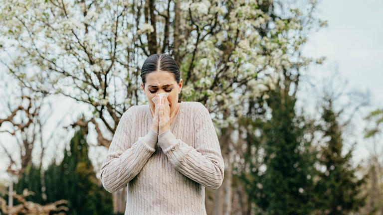Pollenflugkalender 2025 - Welche Pollen fliegen im April?