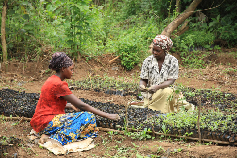 Funding freeze threatens global reforestation and restoration efforts