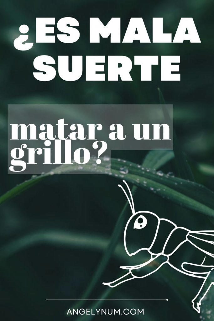 Is It Bad Luck To Kill A Cricket?