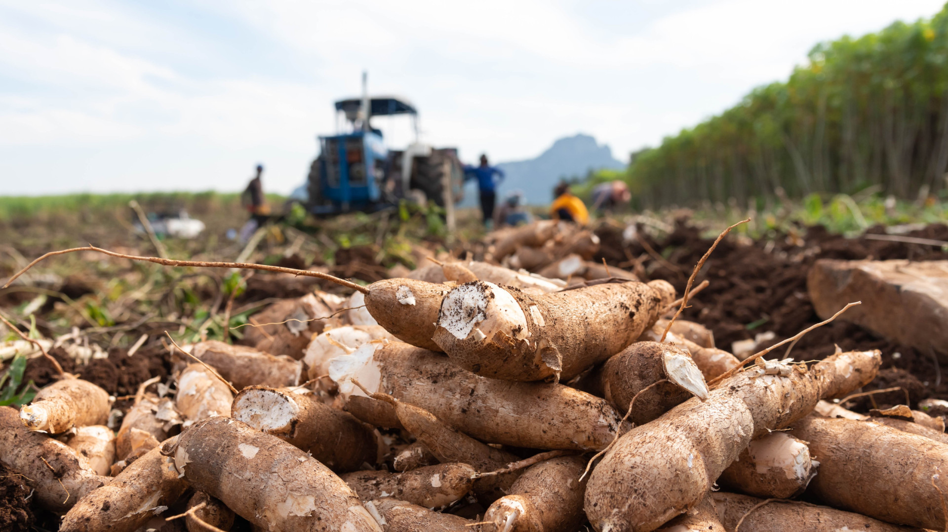 The world’s most dangerous foods