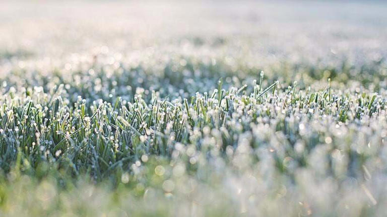 Freeze Watch for entire region; cold, patchy frost possible