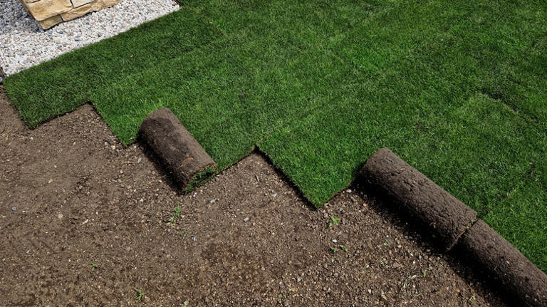 Sod Installation Mistakes Everyone Makes & How To Avoid Them