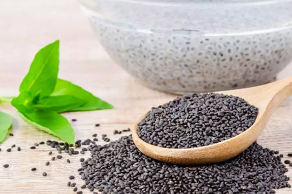 Health Benefits of Drinking Sabja Seeds: A Natural Superfood for Your Body