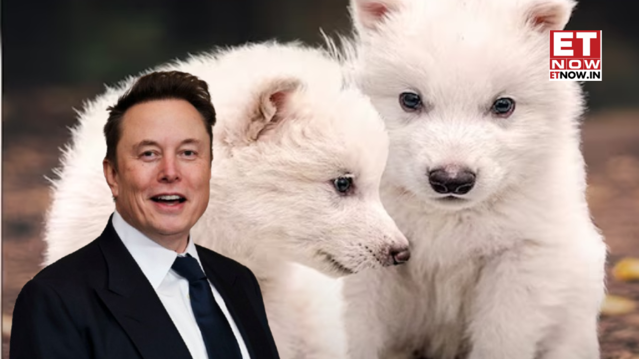 Dire Wolf De-Extinction: Romulus and Remus revived after 12,500 years ...