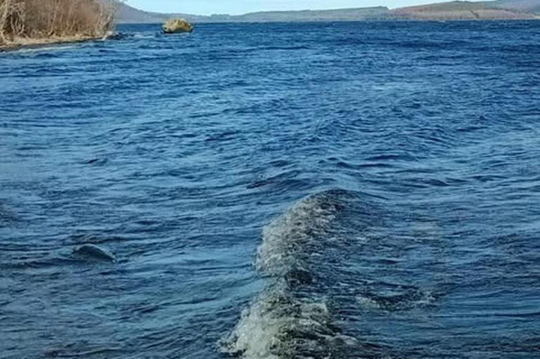 Latest Loch Ness Monster sighting sparks drive for public to take part ...