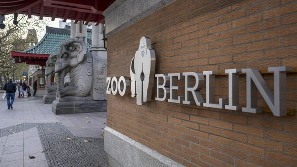 Zoo zeigt neue Tierarten – „echter Publikumsliebling“ kehrt zurück