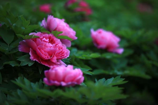 14 American Breakfast Ideas That'll Make You Skip the Drive-Thru