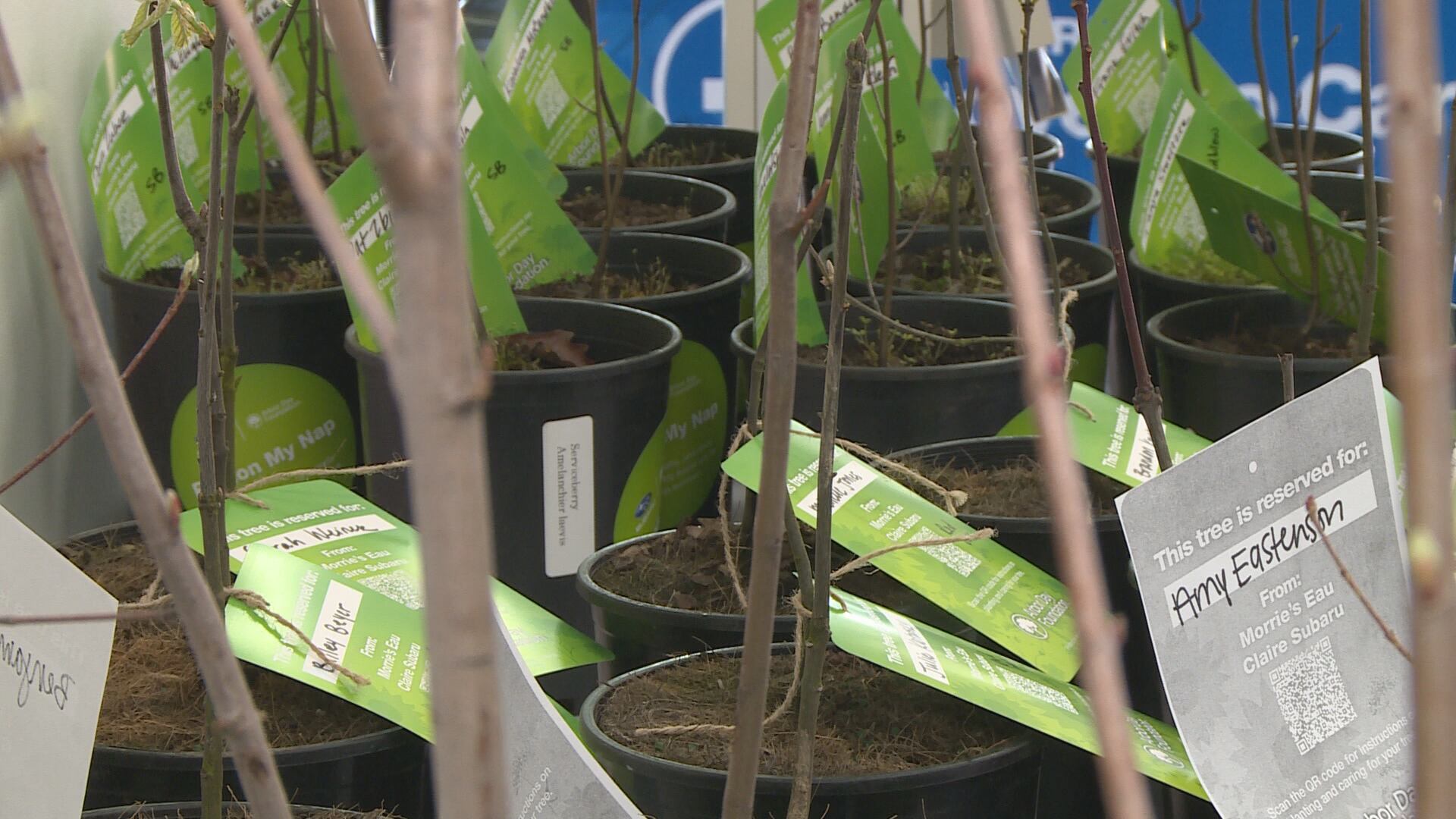 Global non-profit helps make Wisconsin a greener place ahead of Arbor Day