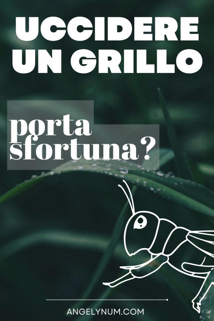 Is It Bad Luck To Kill A Cricket?