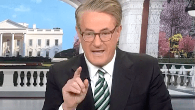 'Fact check, true': Morning Joe warned that Trump believes 'stupid and ...