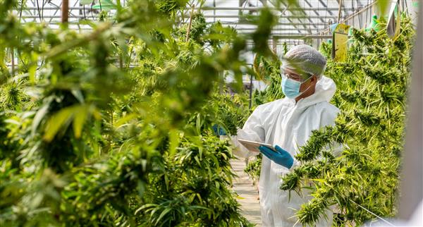 Xebra Brands touts tariff resilience