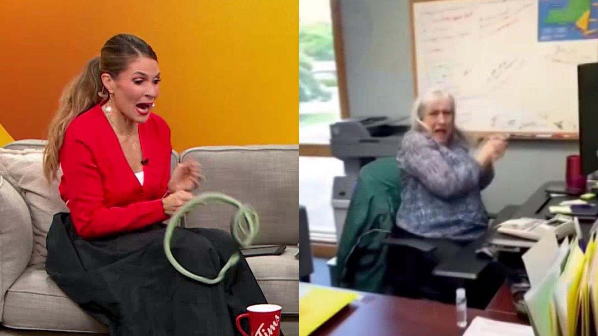 These viral 'jump scare' videos will make you scream (and cry) with ...