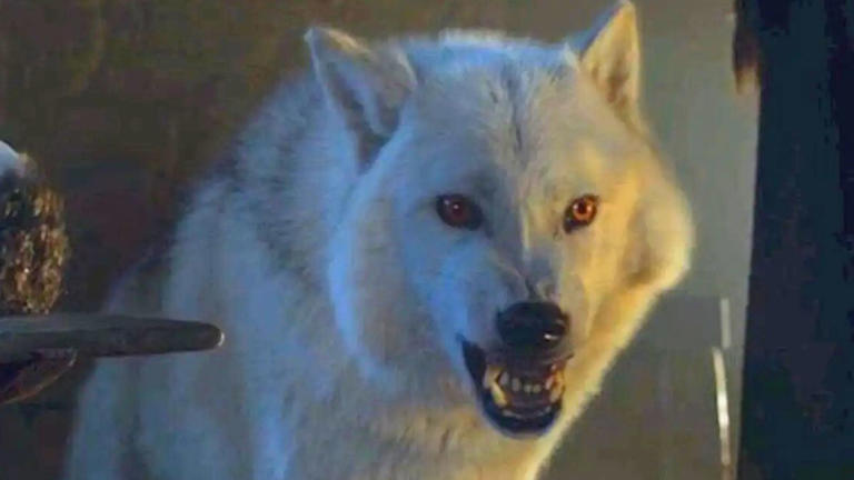 When did dire wolves go extinct and literally why are they back?