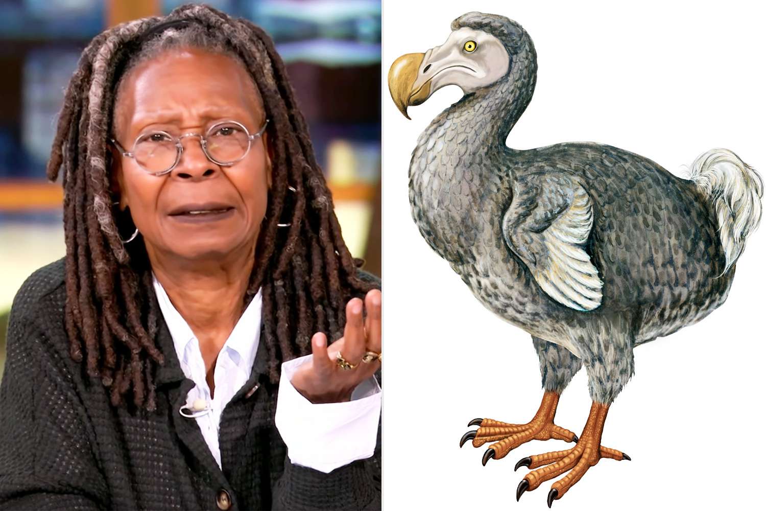Whoopi Goldberg would very much like the dodo bird to remain extinct ...
