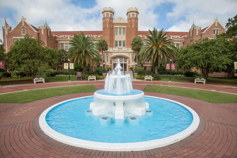 US News' 2025 Best Graduate Schools are out. How did Florida rank?