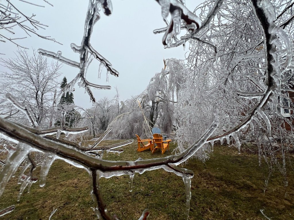 Man killed by falling tree following major spring ice storm in Ontario