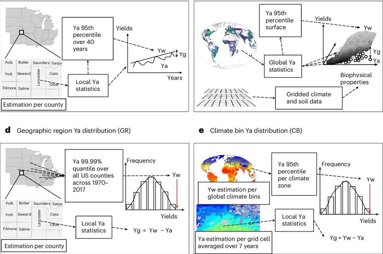 International team calls for new approach to estimate crop yield ...