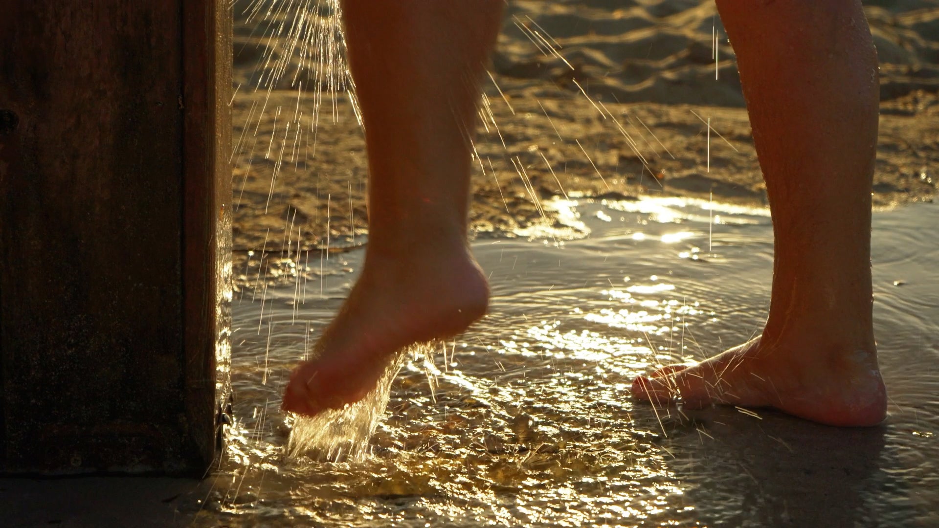 Not Just Seashells On The Seashore, Scary Germs Are Lurking
