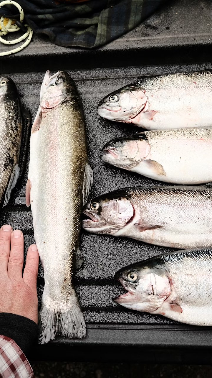 Which State Is The Highest Consumer Of Fish?
