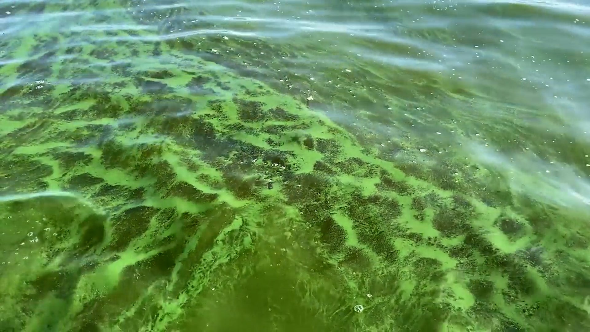 Earth’s First Oceans Weren’t Blue: They Were Green