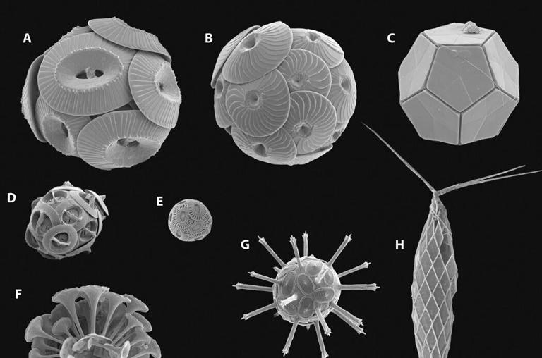 Frustration incorporated: How mismatched geometries can enhance ...