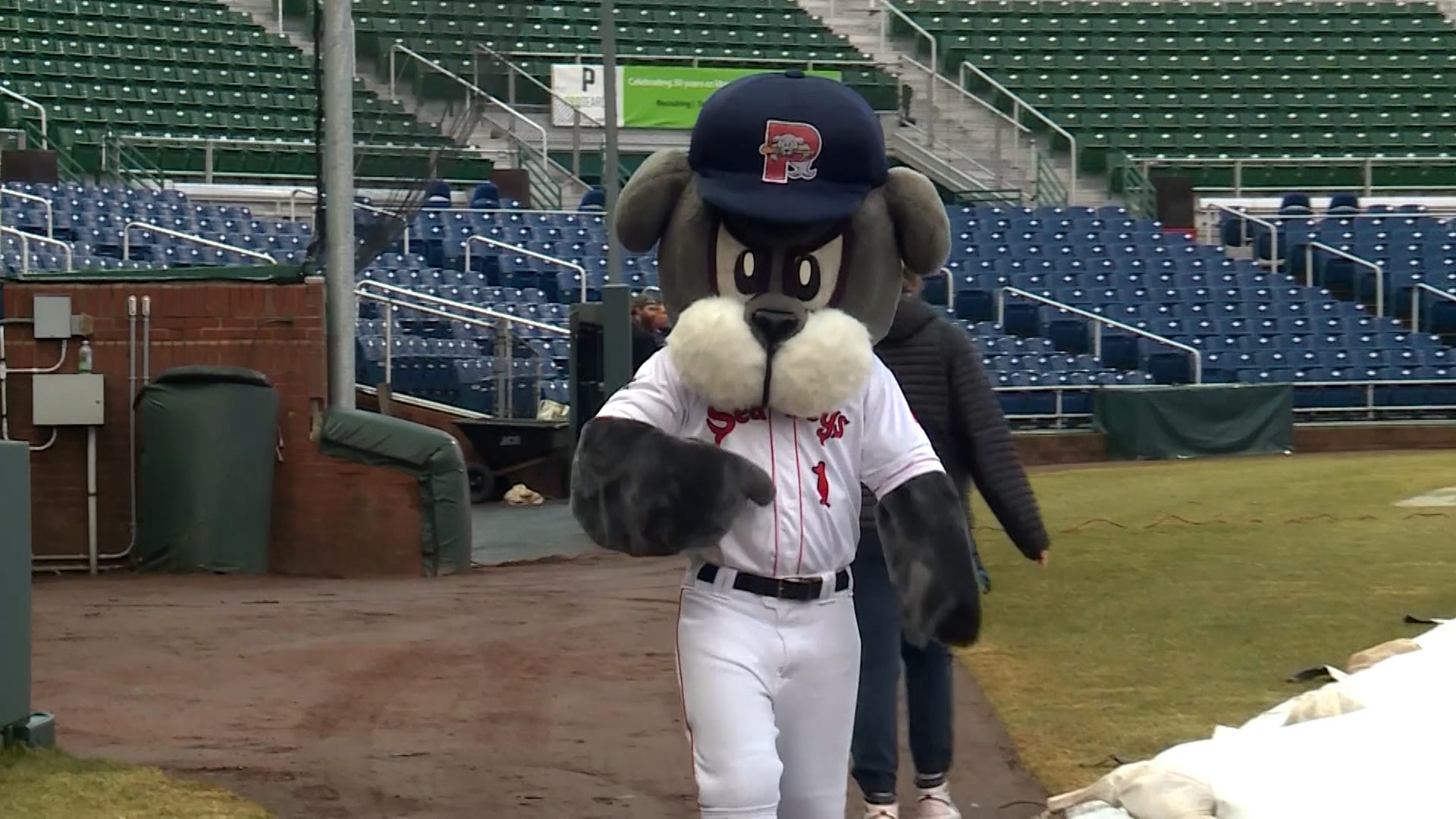 Portland Sea Dogs bring perfect record into 2025 home opener