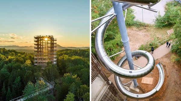 A massive 60-metre forest slide is opening just outside Montreal this ...