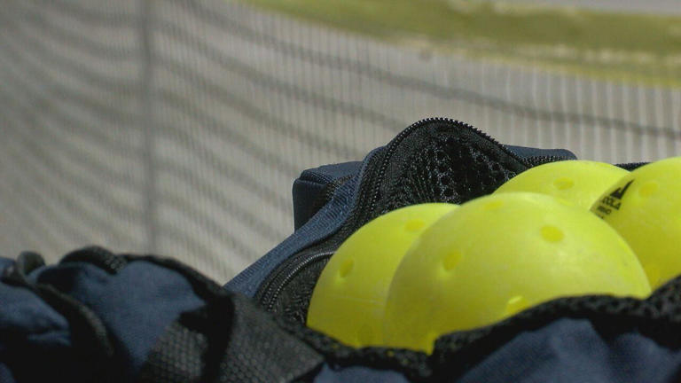 First-of-its-kind indoor pickleball center to open soon in East Texas
