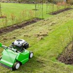 Yes, You Need To Dethatch Your Lawn—and These Blades Make It Cheap and Easy