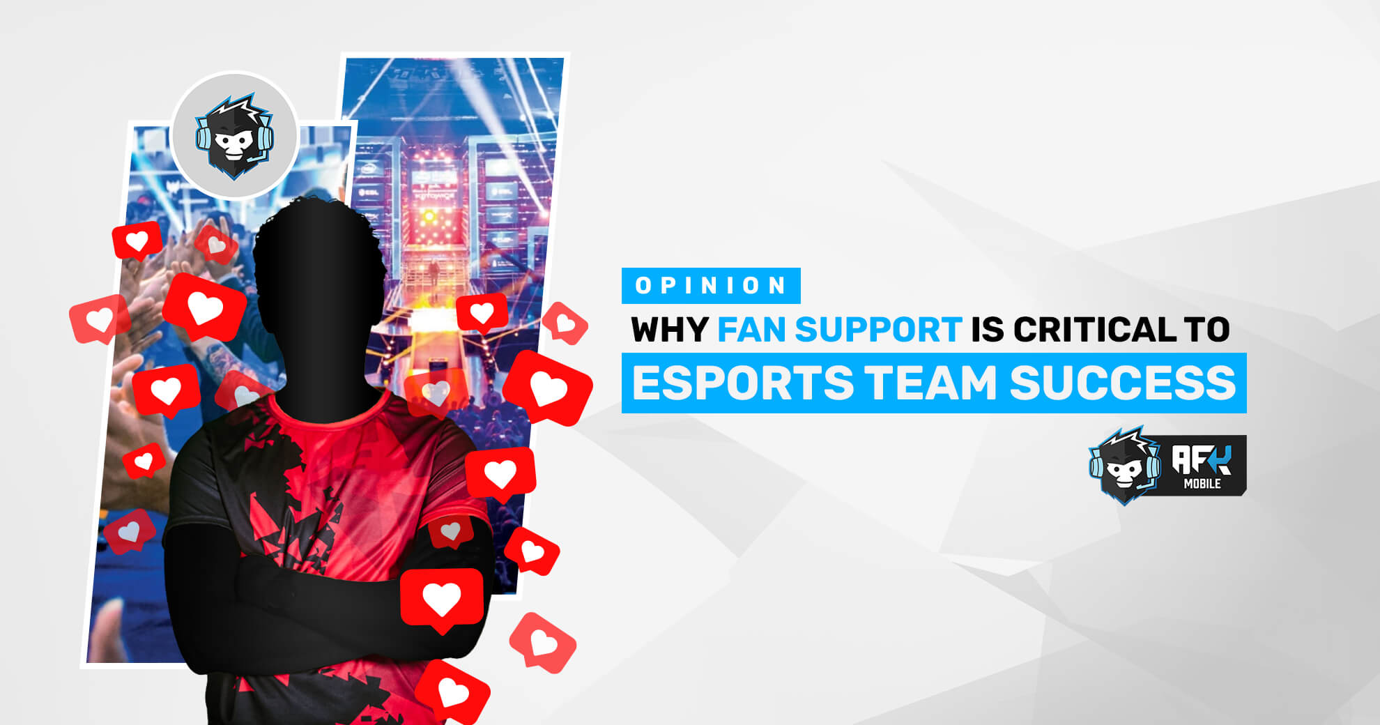 Why is Fan Support Critical to an Esports Team's Success