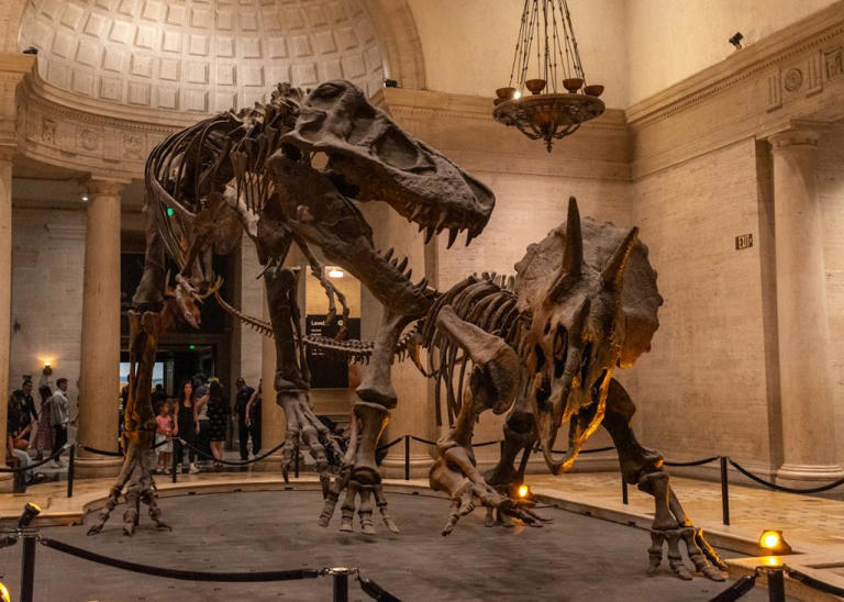 New research busts myth dinosaurs were in decline before asteroid hit