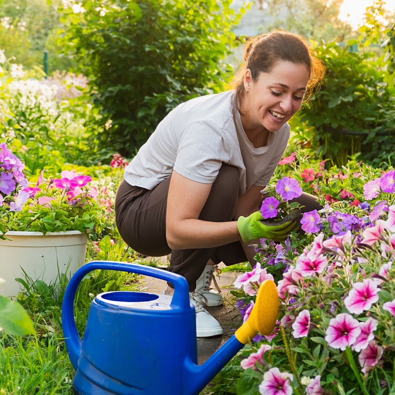 Fleurs, fruits, légumes, aromates… Que faut-il planter dans votre ...