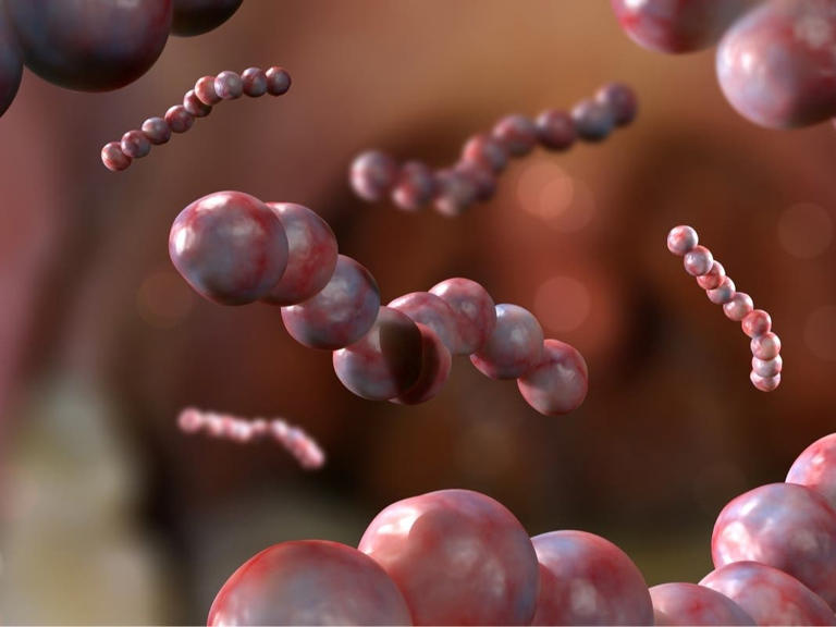 Invasive Strep Infection Risk Spikes, Study Warns: What To Know In VA