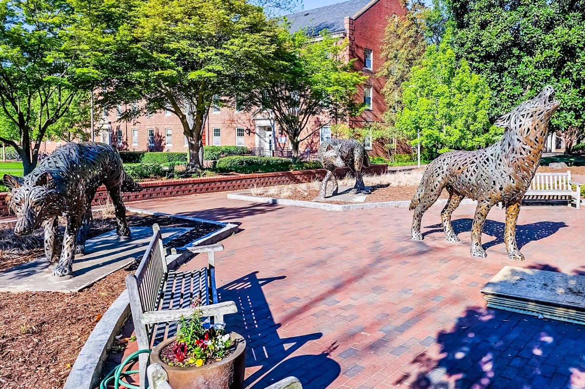 Cap Tosses & Tacos: Your Ultimate NC State Grad Guide to Hillsborough ...