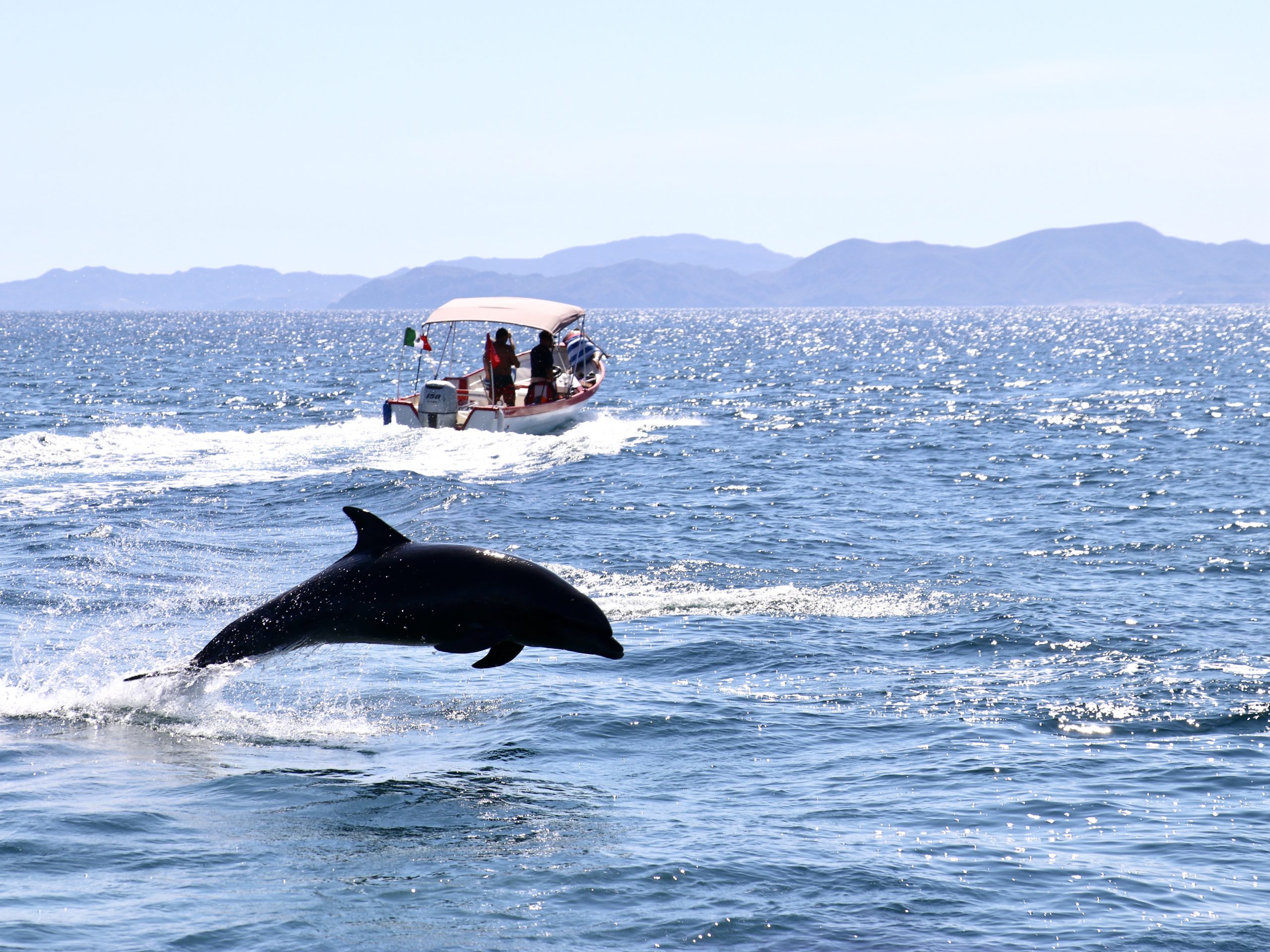 Loreto, MX Lures Visitors with Ocean Activities for Days