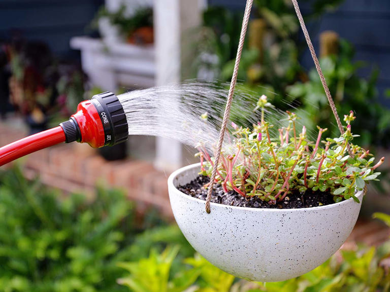 The Best Watering Wand Doesn’t Have the Most Settings—It Has the Right Ones