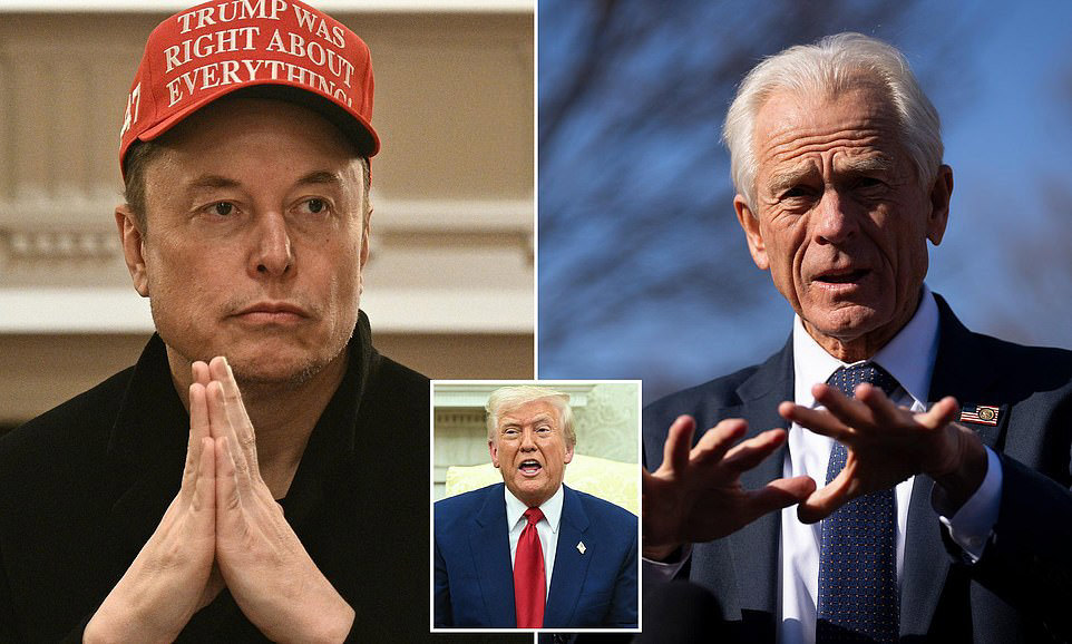 Elon Musk tears into Trump's trade adviser Elon Musk tears into Trump's trade adviser