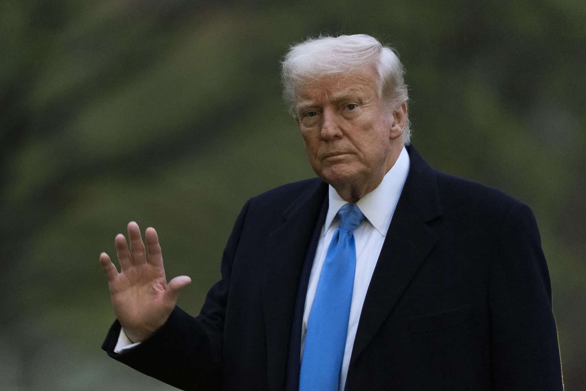 It's so bad! Influencer who tried to impress Donald Trump with Rolex ...