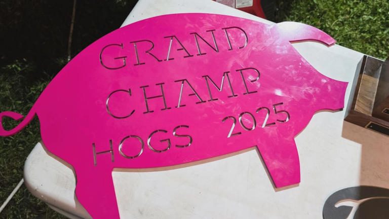 Gulfport barbecue team wins big, helps fundraise at ‘Hogs for the Cause’