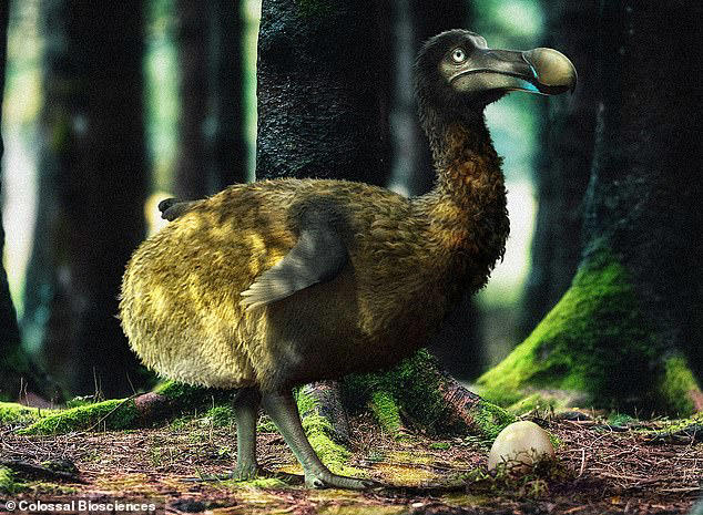 Full list of extinct animals being brought back to life by scientists
