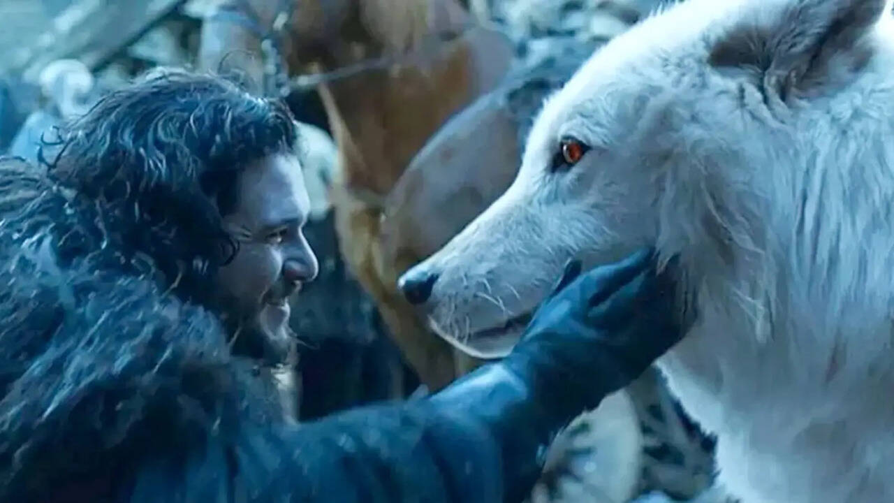 After Dire Wolves De-Extinction, Game Of Thrones Fans Demand Return Of ...