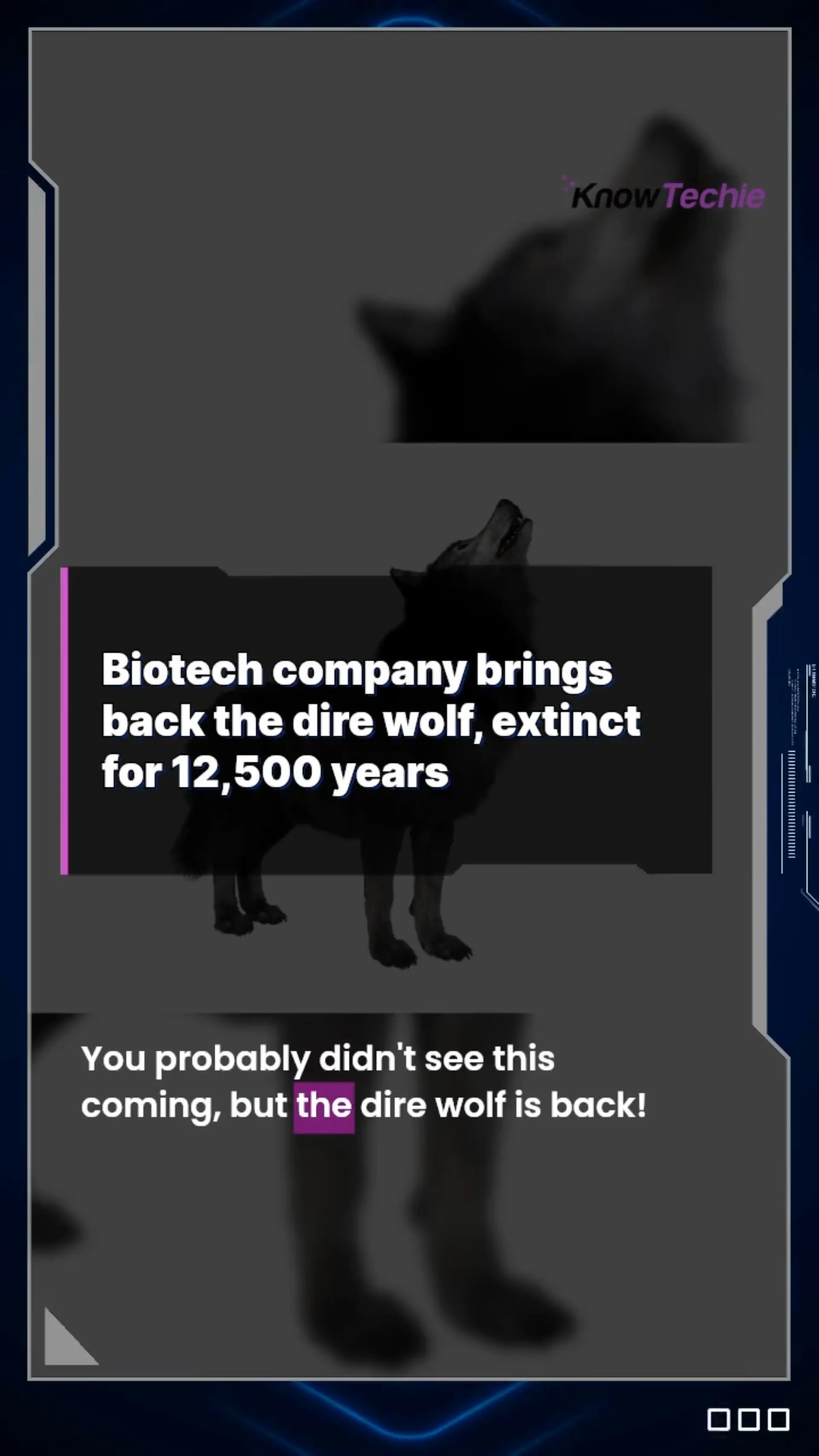 Biotech company brings back the dire wolf, extinct for 12,500 years