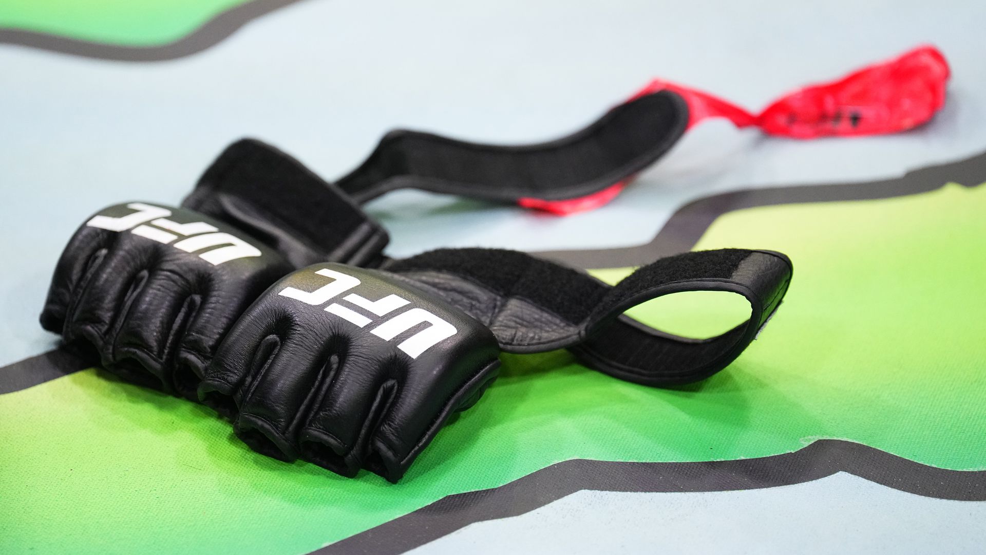 Bye-ana Belbita Quits UFC