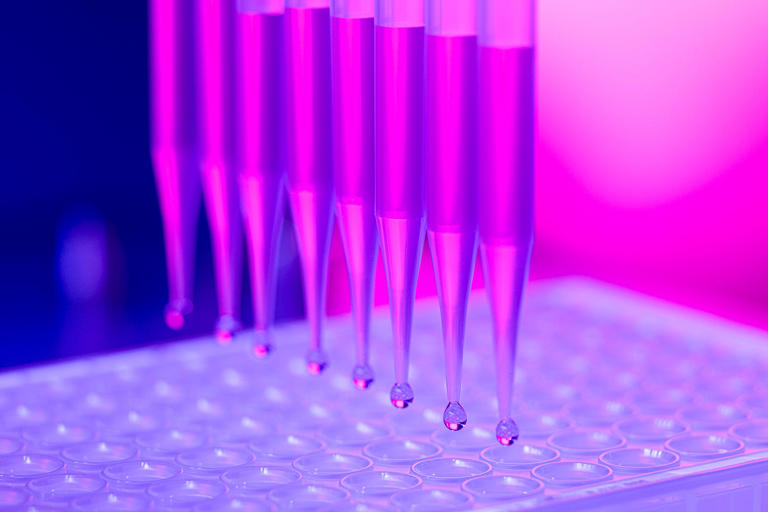 Dire wolves have been extinct for over 10,000 years. Now, the start-up ...