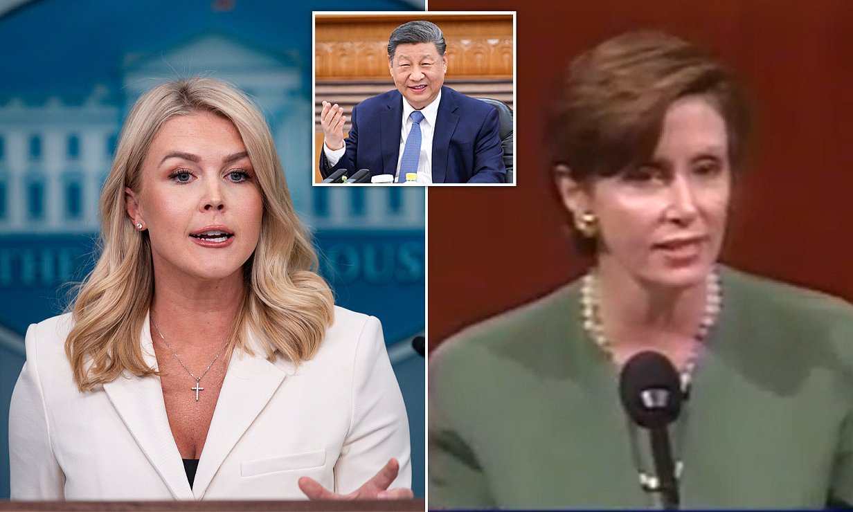 Karoline Leavitt throws Nancy Pelosi's words back in her face