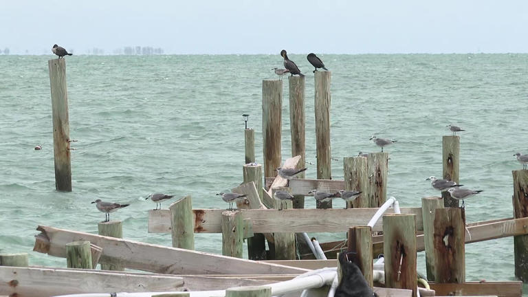 Anna Maria Island's Rod & Reel Pier to return on land