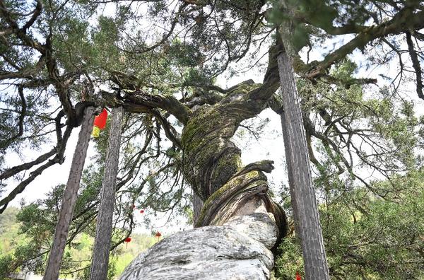 37 Easy Food Hacks That Make Us Feel Like Kitchen Geniuses