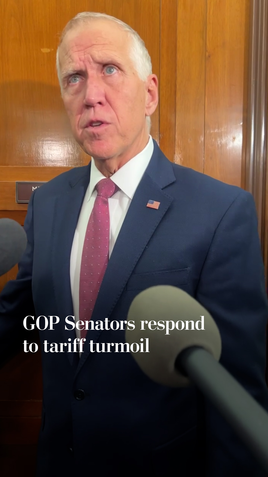 GOP Senators grapple with tariff turmoil